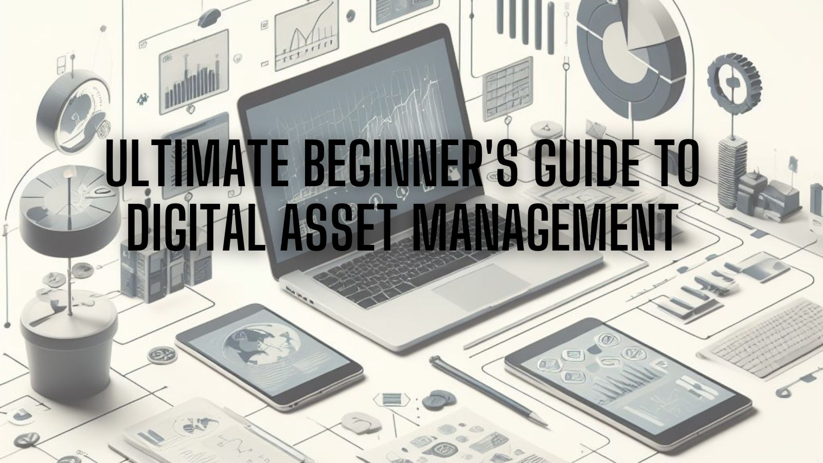 Beginner's Guide to Digital Asset Management (DAM)